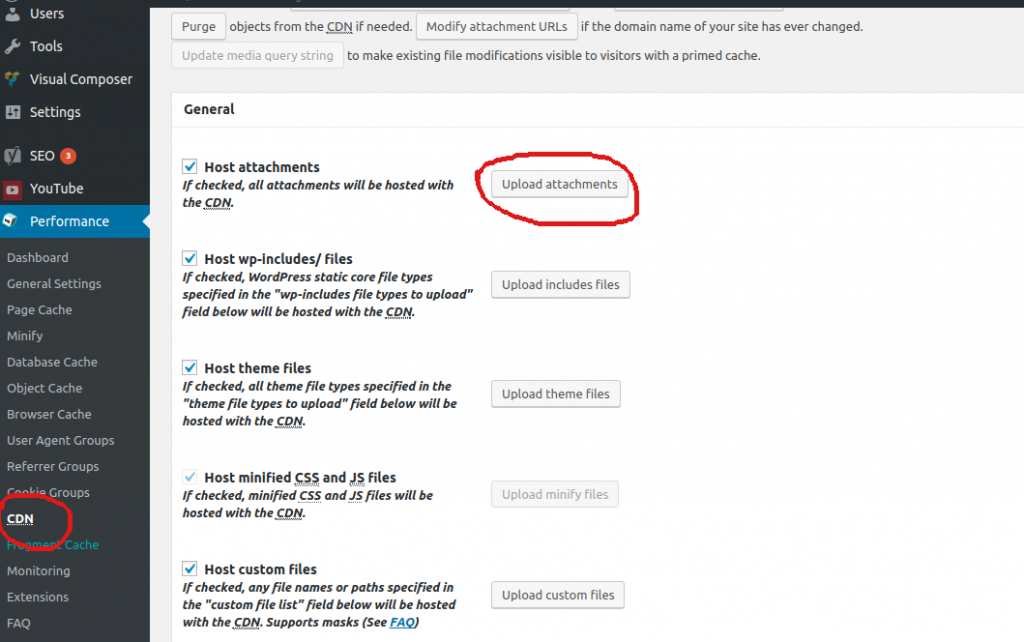 Enable Amazon Cloudfront CDN in WordPress - ServerOK