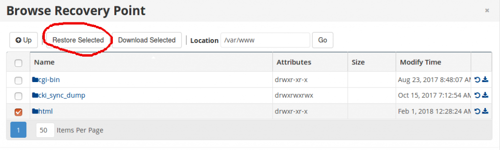 How to restore R1Soft Backup - ServerOK