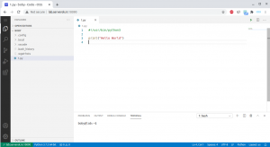 How to Install Visual Studio Code Server - ServerOK