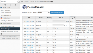 How To See Currently Running Processes in Cpanel/WHM Server - ServerOK