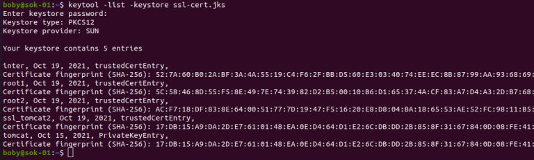 List contents of jks keystore file - ServerOK List contents of jks keystore file - ServerOK